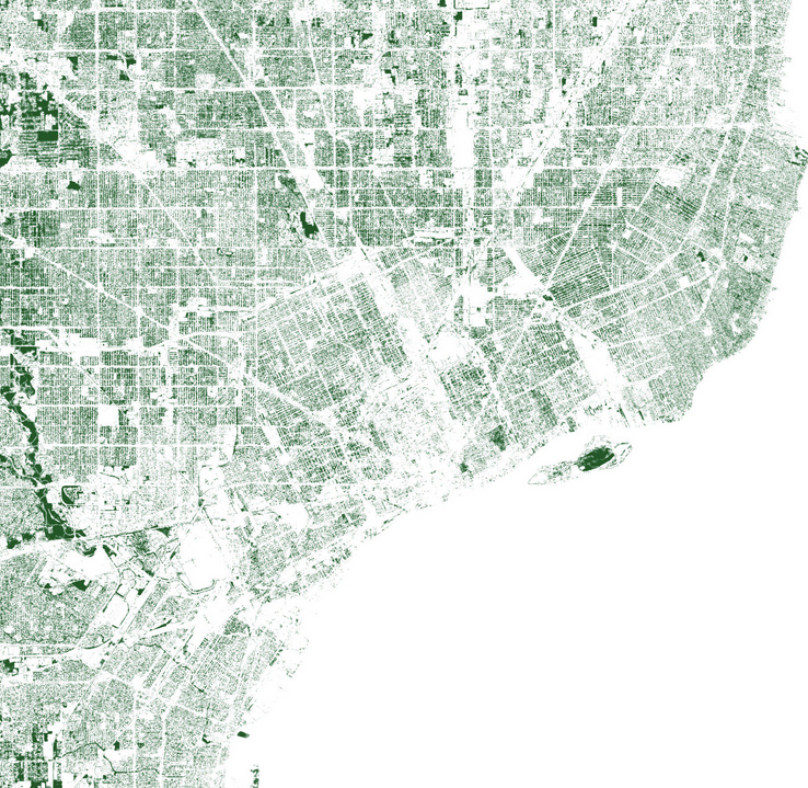 Mapping All the Trees in Detroit with Machine Learning | DETROITography