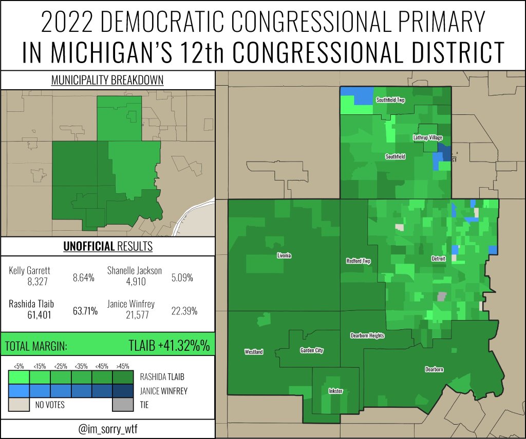 Detroit 2022 Primary Election Maps | DETROITography