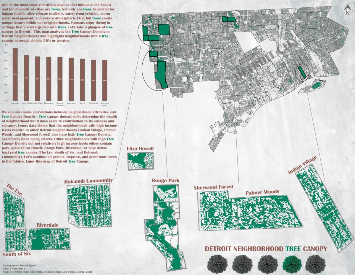 Map: Sustainable Urban Environments: Detroit Tree Canopy | DETROITography