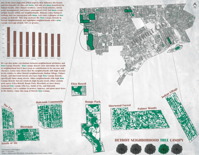 DETROITography