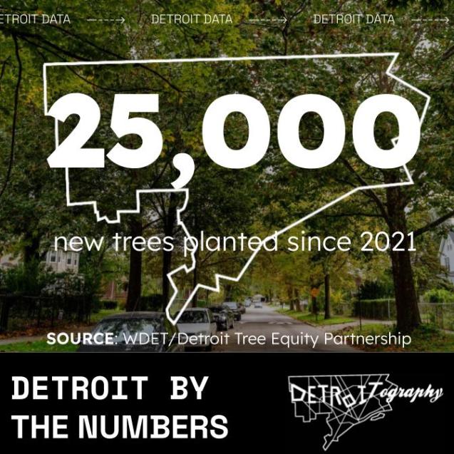 DETROITography