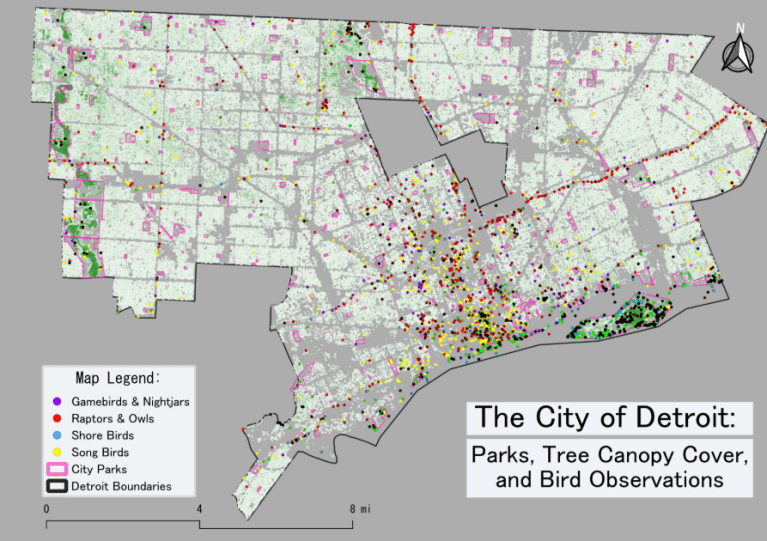 Map: Parks, Tree Canopy, and Bird Observations in Detroit | DETROITography
